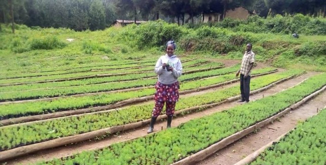 Sustainability - SimplyEasy Refurbs